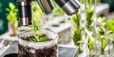 AIC | Webinar: "Atlantic perspectives on NGTs - Precision Breeding in ...