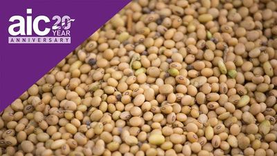 AIC | AIC at 20: Developing guidelines for sustainable soya in ...