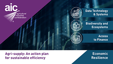 AIC | Sustainability Action Plan: Economic Resilience in Focus