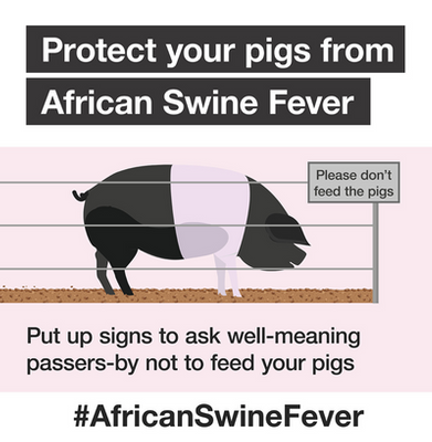 AIC | African Swine Fever, Posters for Country Stores