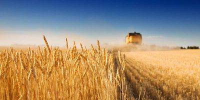 AIC | FAQs: UK Combinable Crops Supply Chain
