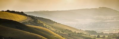 AIC | Defra's Farming and Countryside Programme