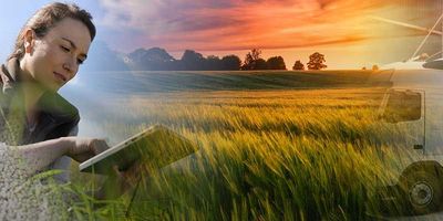 AIC | AIC Policy Report for Members - January 2026