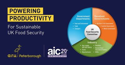 AIC | Powering Productivity report: Executive Summary & Key Findings