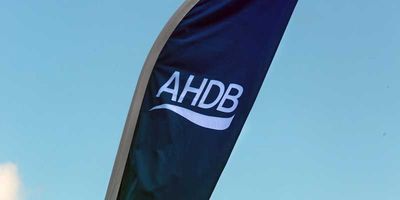 AIC | AHDB seeks new Chair as Nicholas Saphir prepares to step down