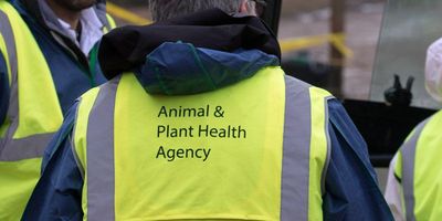 AIC | Defra Latest Bird flu (avian influenza) in England Update